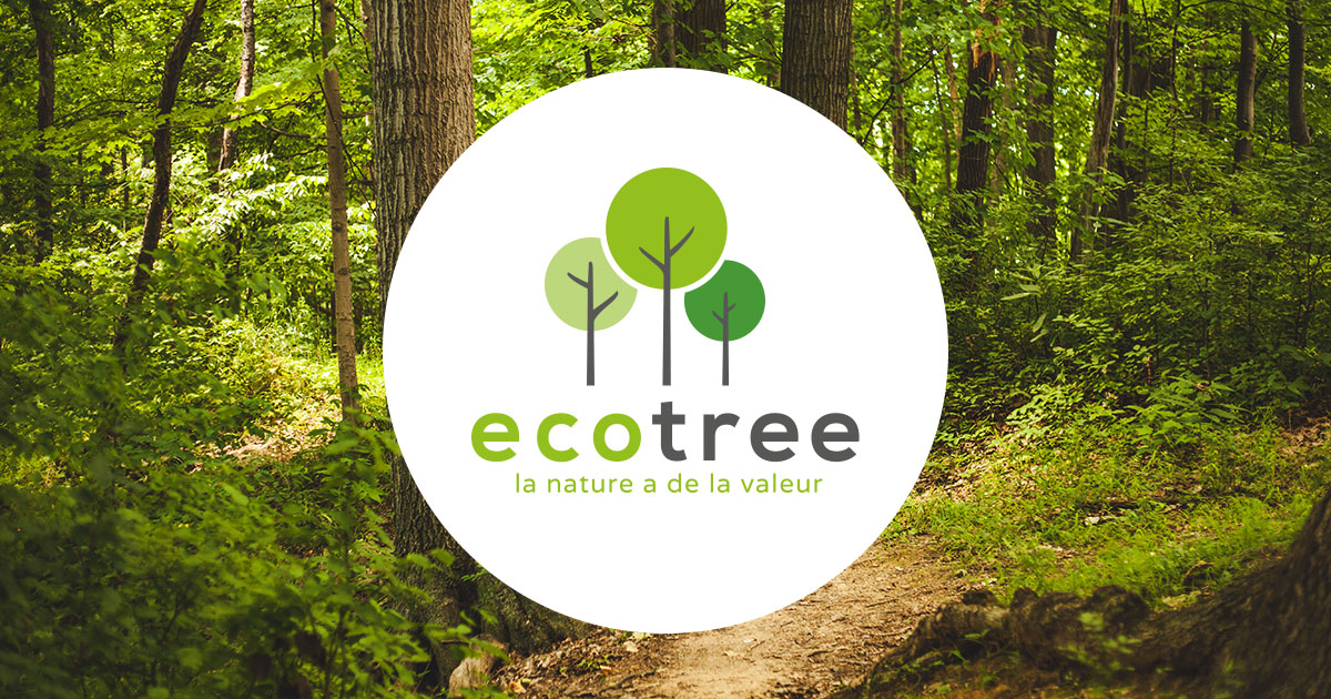 Eco-tree. La start-up qui permet d’investir dans la reforestation - Eco ...