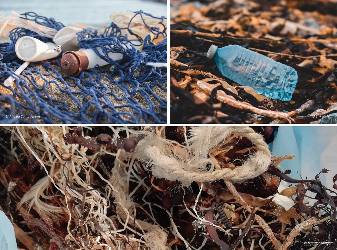 Tara, Observatoire du plancton… Et du plastique - Eco-Bretons